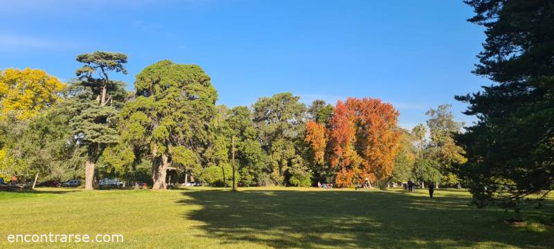 OTOÑO EN PARQUE PEREYRA IRAOLA, VAMOS ANTES QUE LAS HOJAS CAIGAN!!!15 ...